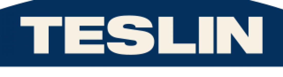 logo-teslin - Mutual Fund